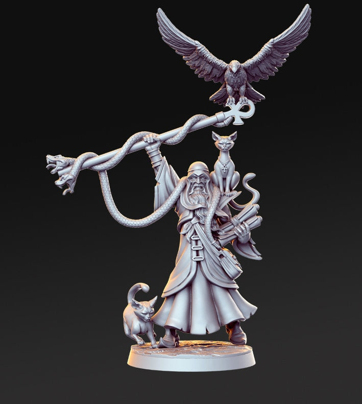 Human Wizard with Familiars and Staff | 28mm Scale | 32mm Heroic | Min ...
